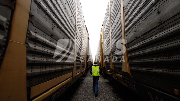 SHIP BY TRAIN – Motor Vehicle Shipping